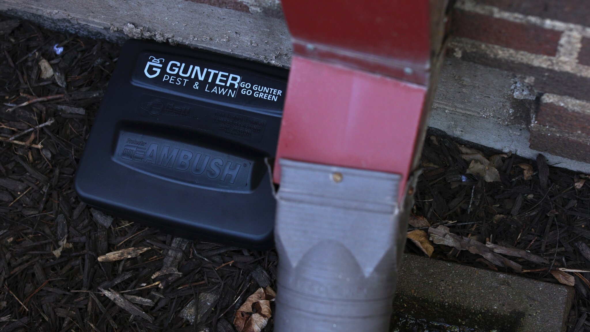 6 Step Rodent Control Plan | Gunter Pest & Lawn