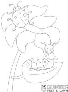 Printable Coloring Book Pages For Kids | Gunter Pest & Lawn | KCMO