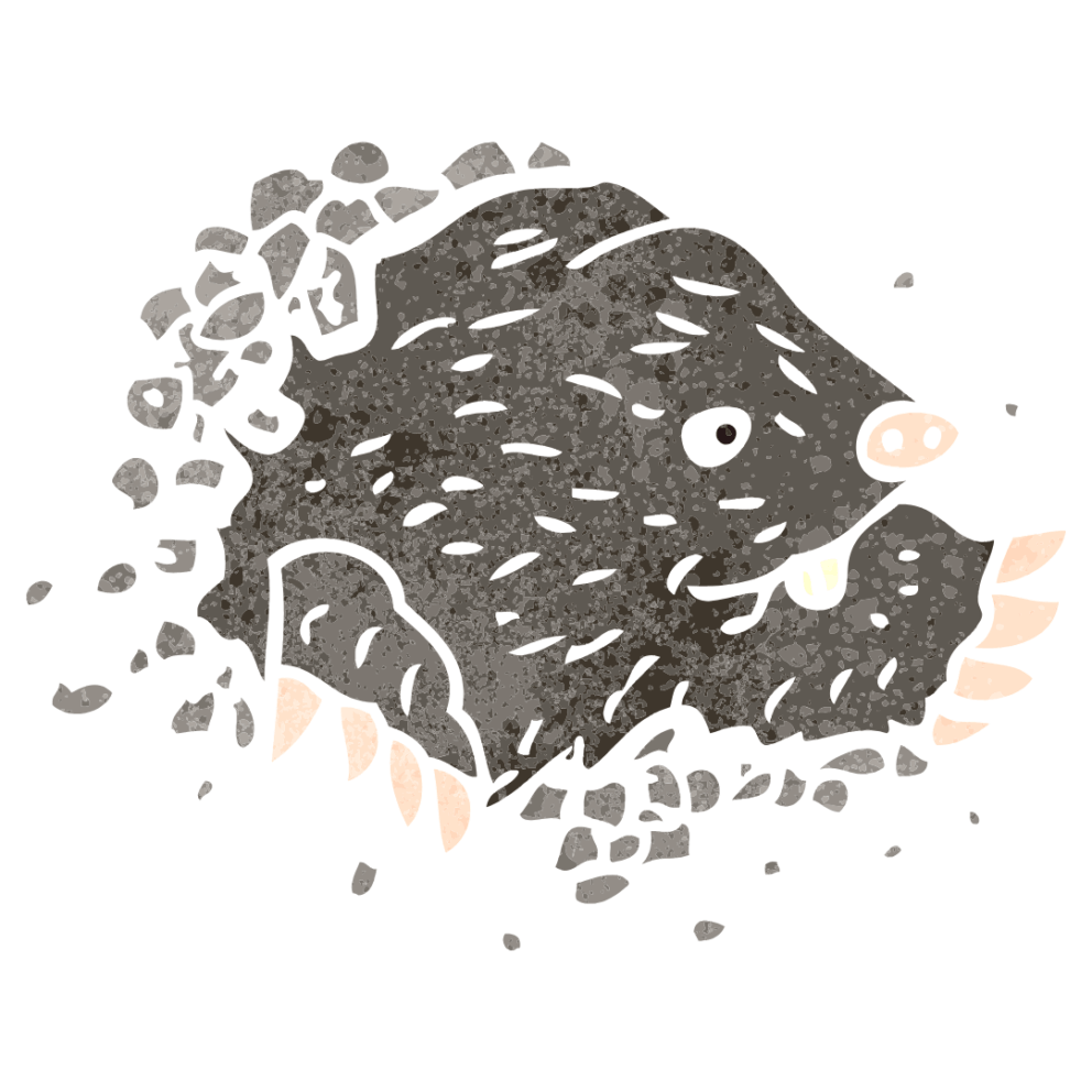 How To Identify And Get Rid Of Lawn Pests | Gunter Pest & Lawn