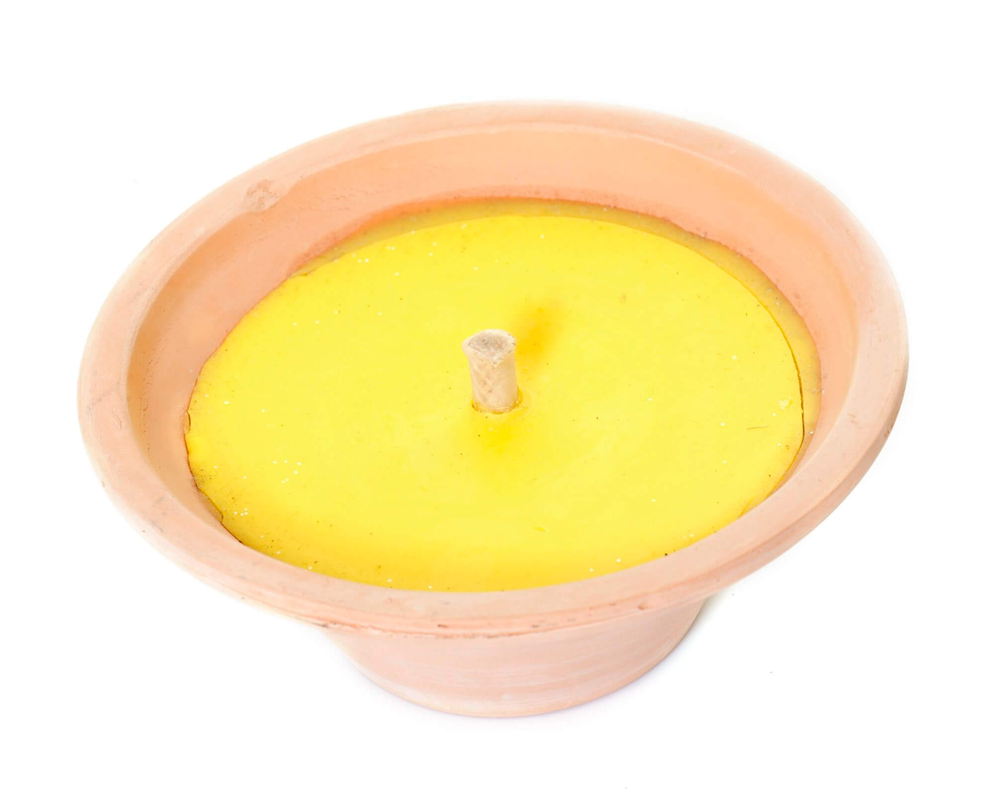 How To Protect Yourself And Your Home From Mosquitos | Gunter