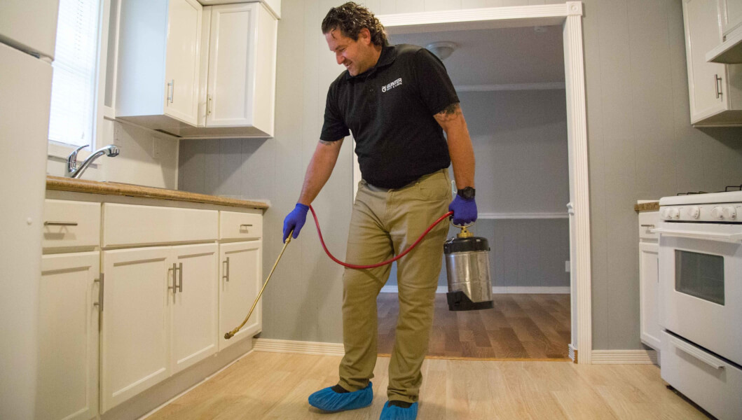 School Pest Control | Childcare Facility | Daycare | Gunter Pest