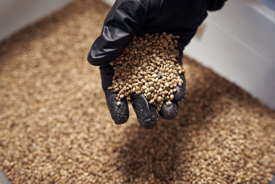 Kansas City Lawn Seeding | Lawn Care Company | Gunter