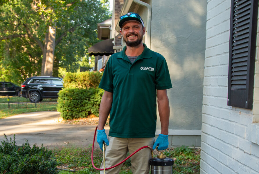 How Often Should You Schedule Pest Control