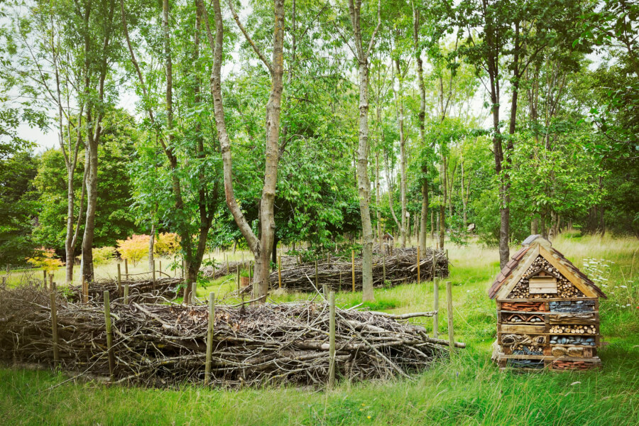 Professional Pest Control | Kansas City Pest Control Company | Gunter ...